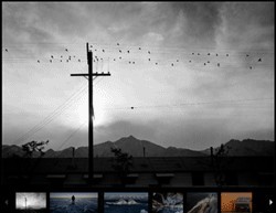 16+ jQuery/MooTools gallery scripts to create spectacular photo galleries